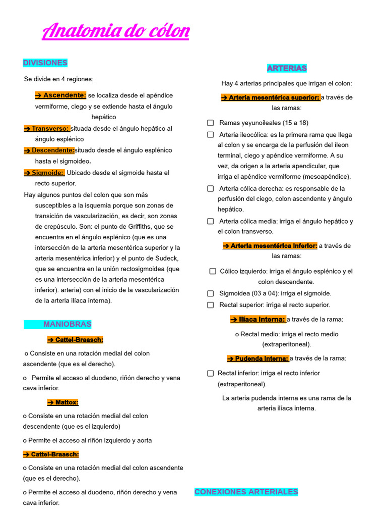 Anatomia Do Cólon | PDF