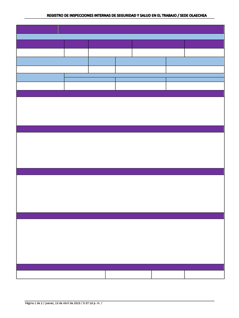 Reporte de Inspeccion-FIDELLI 13 ABRIL 2023 | PDF