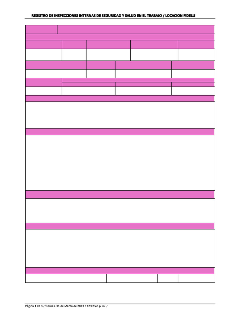 Reporte de Inspeccion-FIDELLI 31 de MARZO 2023 | PDF