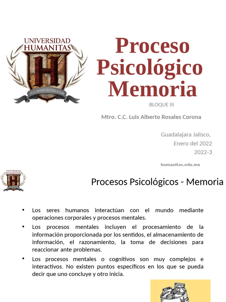 Bloque Iii Procesos Psicologicos Memoria 2022 3 Pdf