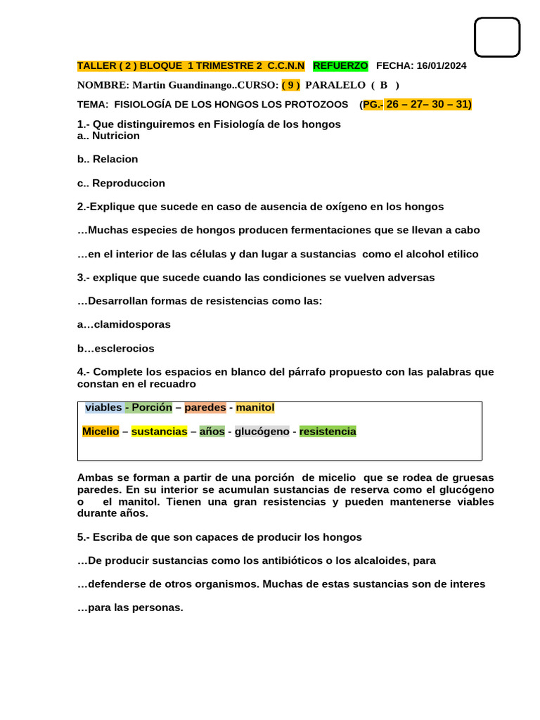 Taller 2 de Refuerzo 9no Trimestre 2 | PDF