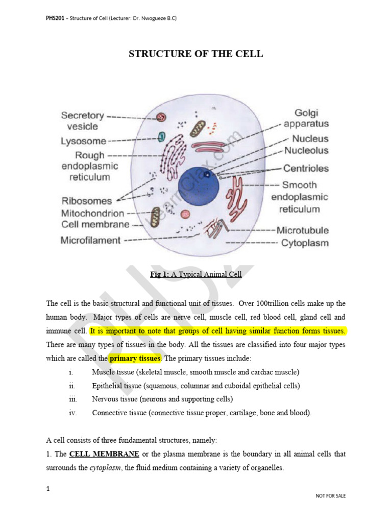 Structure of The Cell | PDF