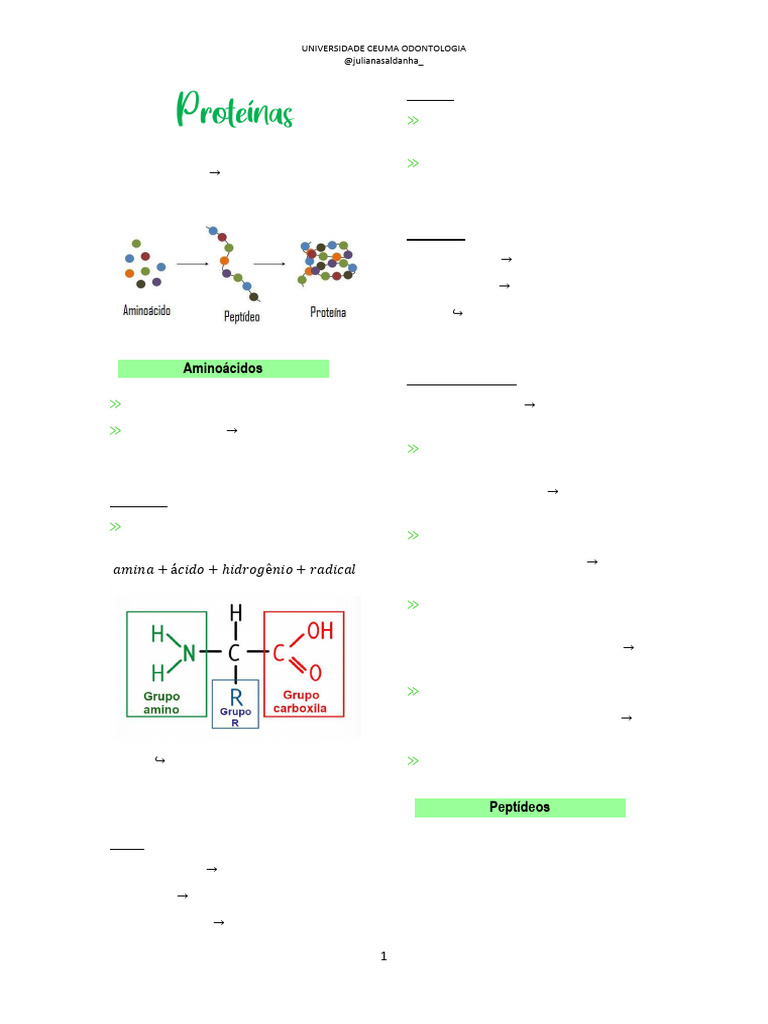 Resumo - Proteínas, Aminoácidos e Peptídeos | PDF