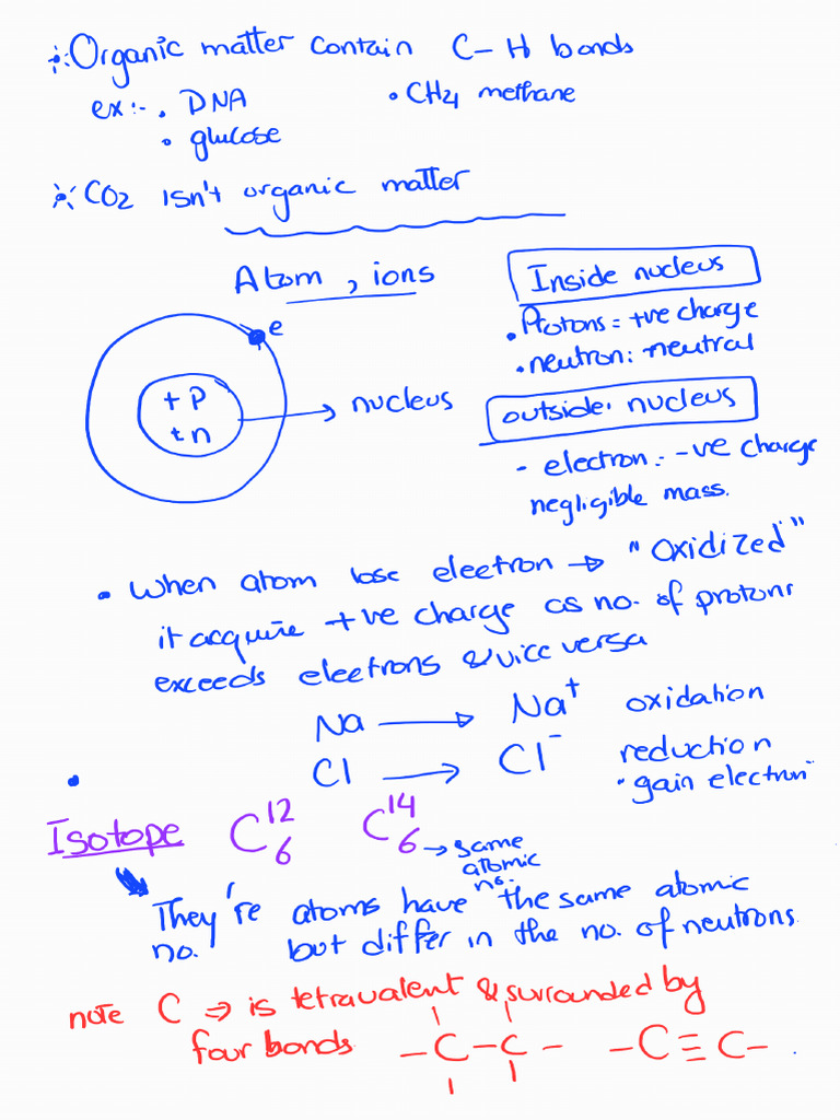 Biochemistry Summary | PDF