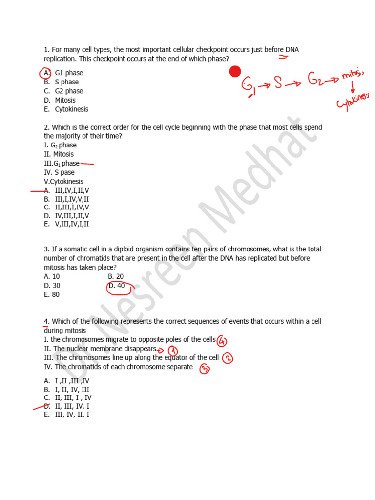 Cell Division 1 Practice Question | PDF