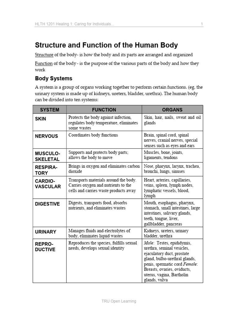 hlth1201 Lesson2 Structure Function Human Body | PDF