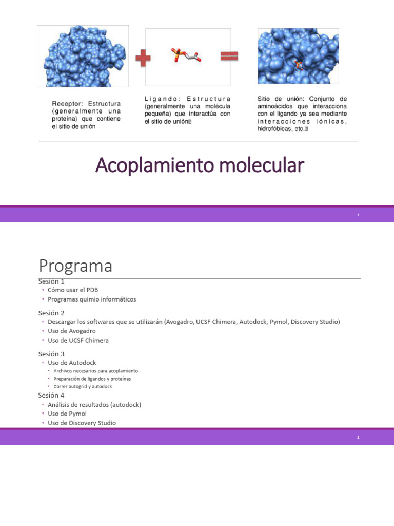 Explicacion Acoplamiento Molecular 2022 - Compressed | PDF