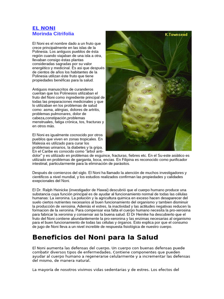 El Noni | PDF