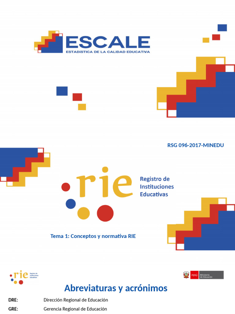 Conceptos RIE_070218 | PDF