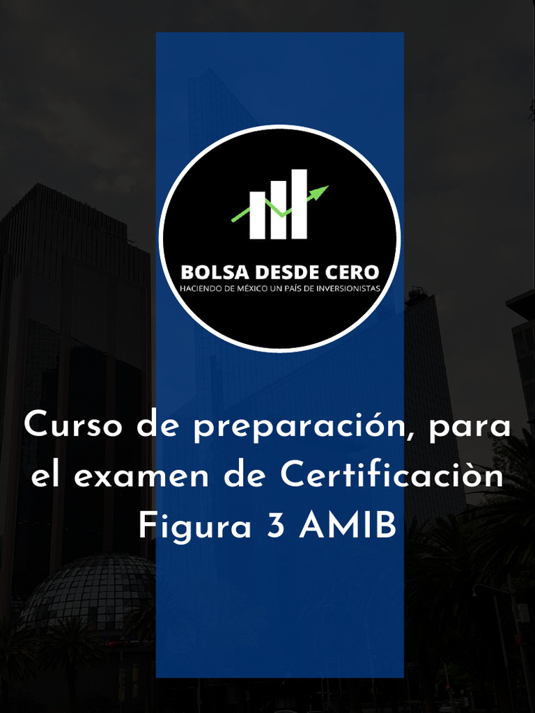 Guia Amib BDC | PDF