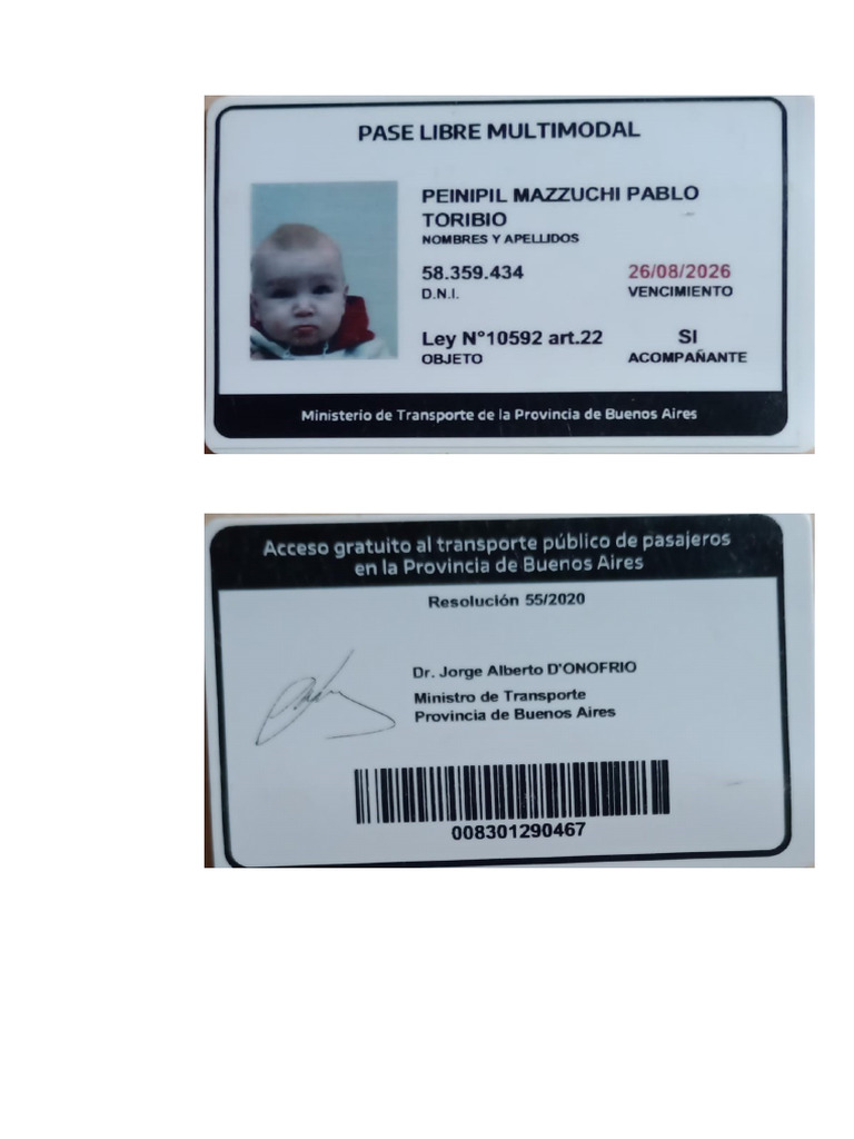 Pase Libre Multimodal | PDF