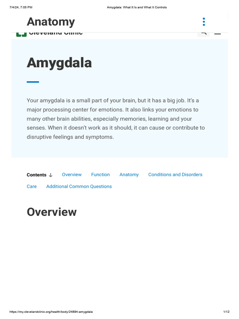 Amygdala - What It Is and What It Controls | PDF