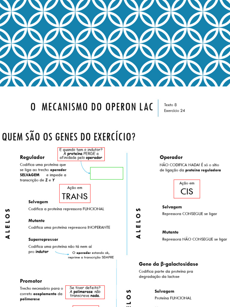 O Mecanismo Do Operon Lac | PDF