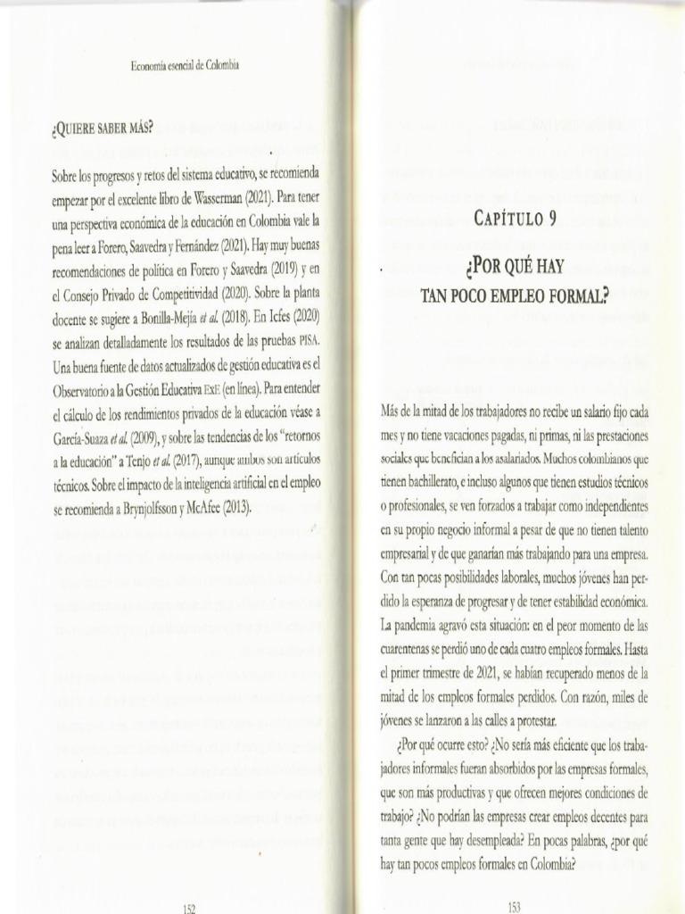 Capítulo 9 - Por Qué Hay Tan Poco Empleo Formal | PDF