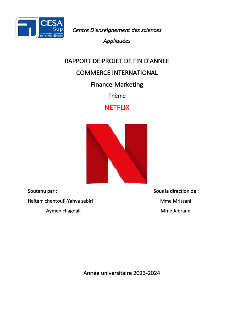 RAPPORT Netflix | PDF