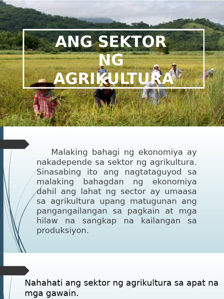 Ang Sektor NG Agrikultura | PDF
