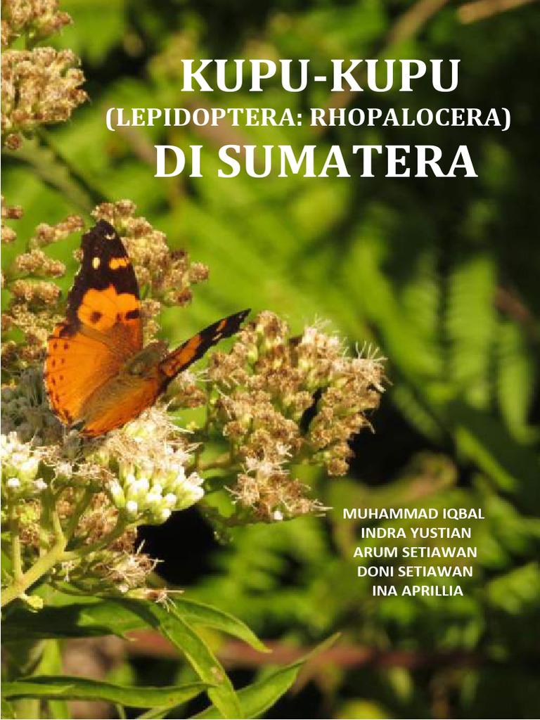 Buku Kupu2 Sumatera Half Full - Compressed-Compressed | PDF