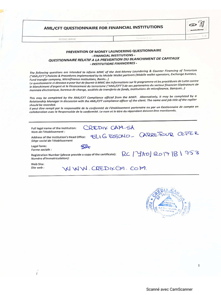 Aml Questionnaire | PDF