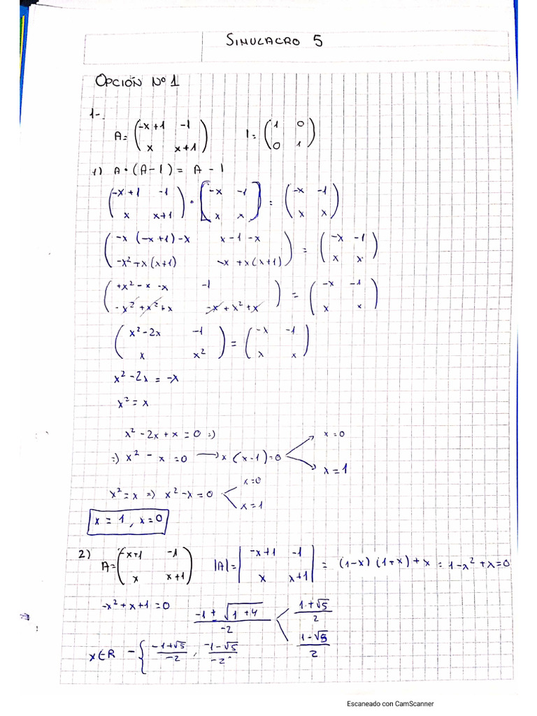 Simulacro 5 Lidia Villalba | PDF