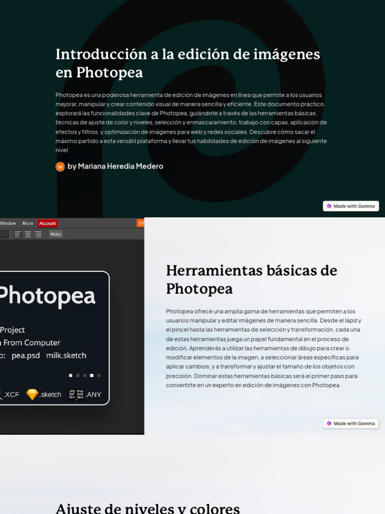 Tutorial Photopea | PDF