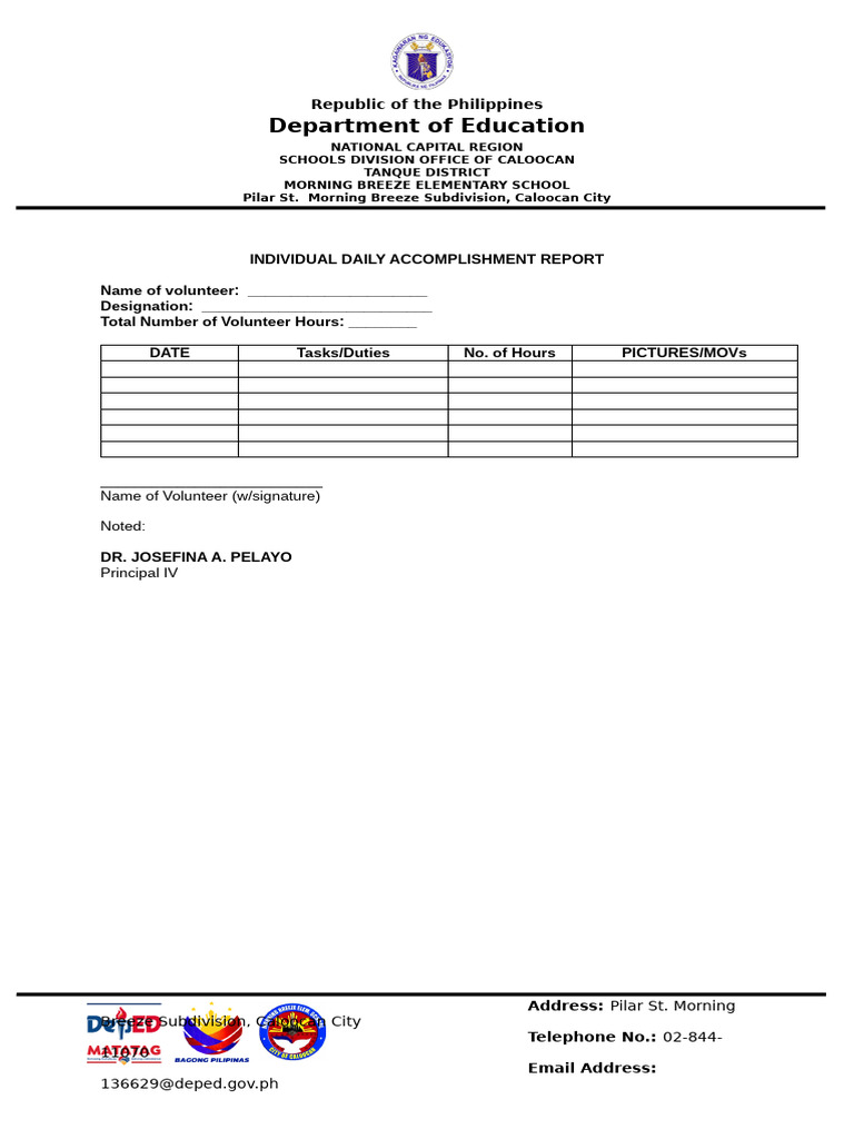 Individual Daily Accomplishment Report - Template | PDF