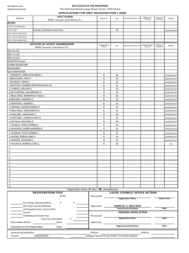 BSP Registration Form | PDF