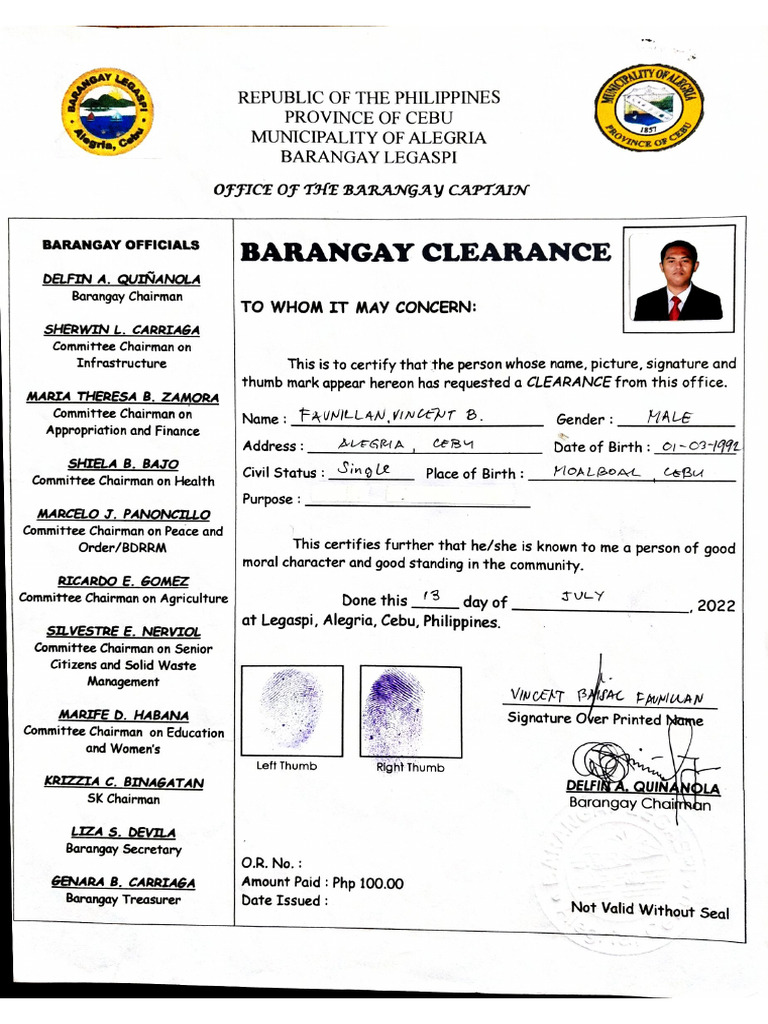 Barangay Clearance | PDF
