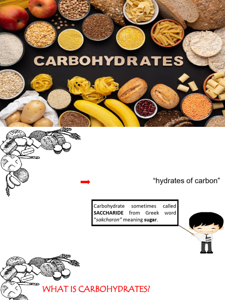 Lesson 2 Carbohydrates Read Mat | PDF