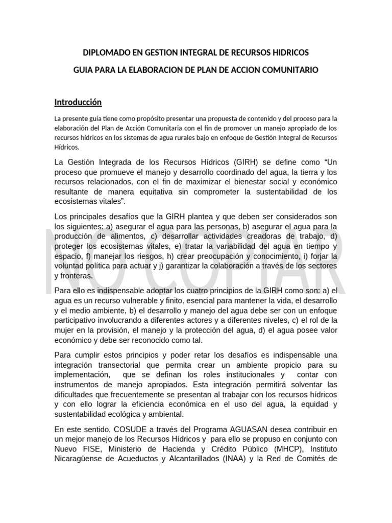 Guia para Plan de Accion Comunitario_ppo1 | PDF