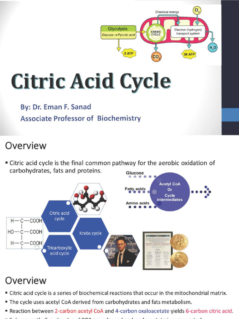 Lec 2 Bio II Modified | PDF | Citric Acid Cycle | Chemistry