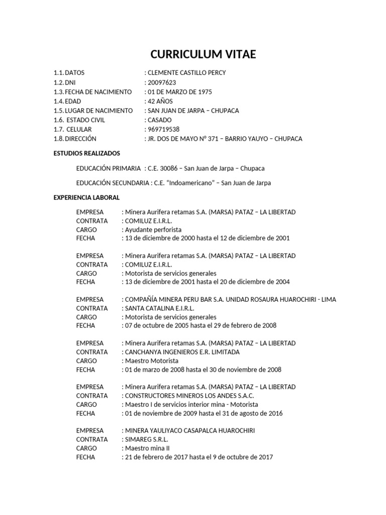 Curriculum Vitae Mina | PDF