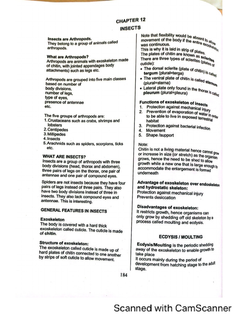 Insects (Life Processes) | PDF