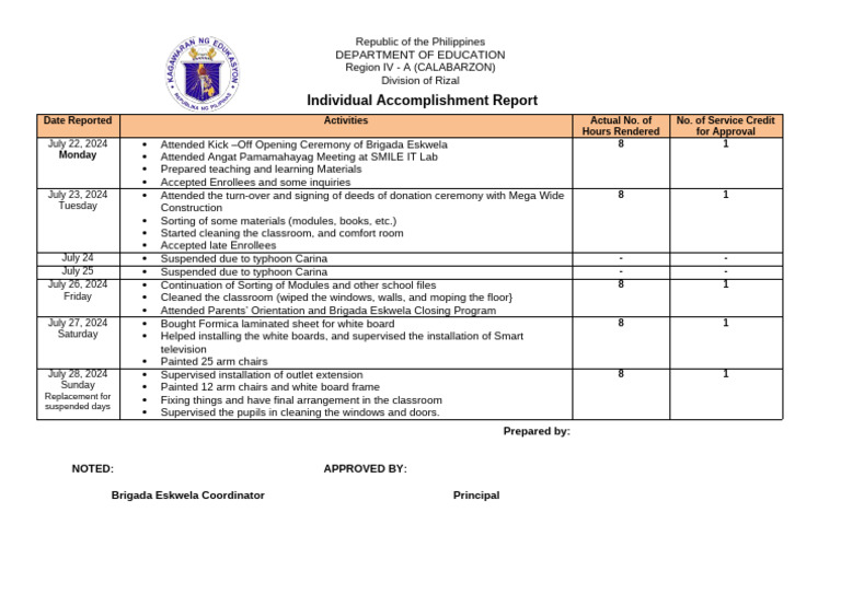 Individual Accomplishment Report 2024 | PDF