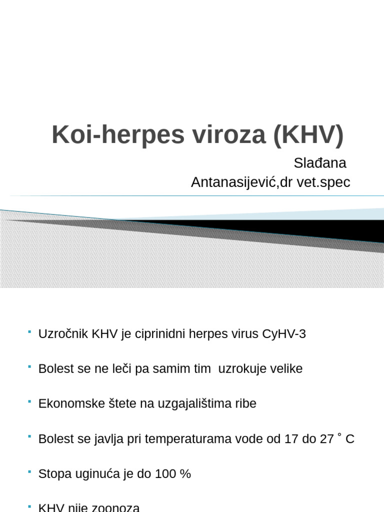 Koi-Herpes Viroza (KHV) | PDF