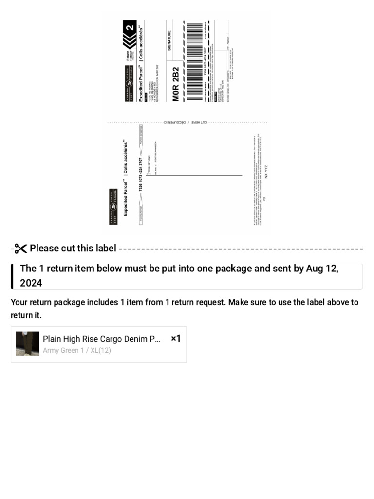 Temu Web Document | PDF