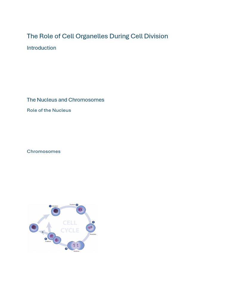 The Role of Cell Organelles During Cell Division | PDF | Mitosis ...