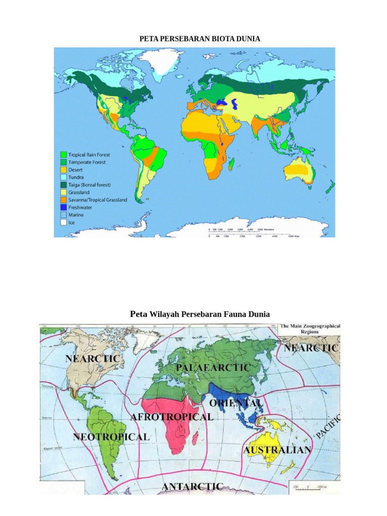 Peta Bioma Dunia | PDF