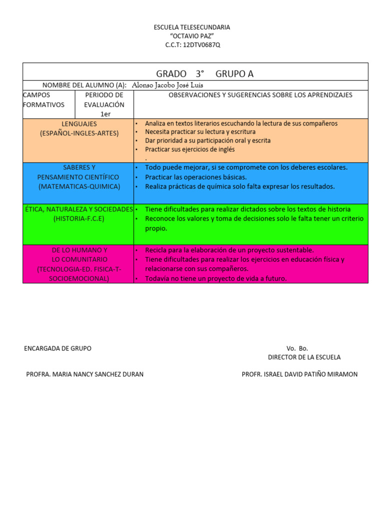 Obser-Sugerencias Por Campos F.3°a | PDF
