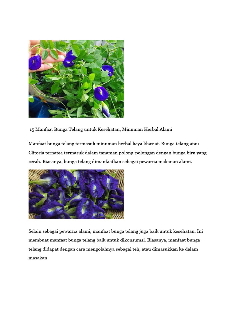 Bunga Telang | PDF