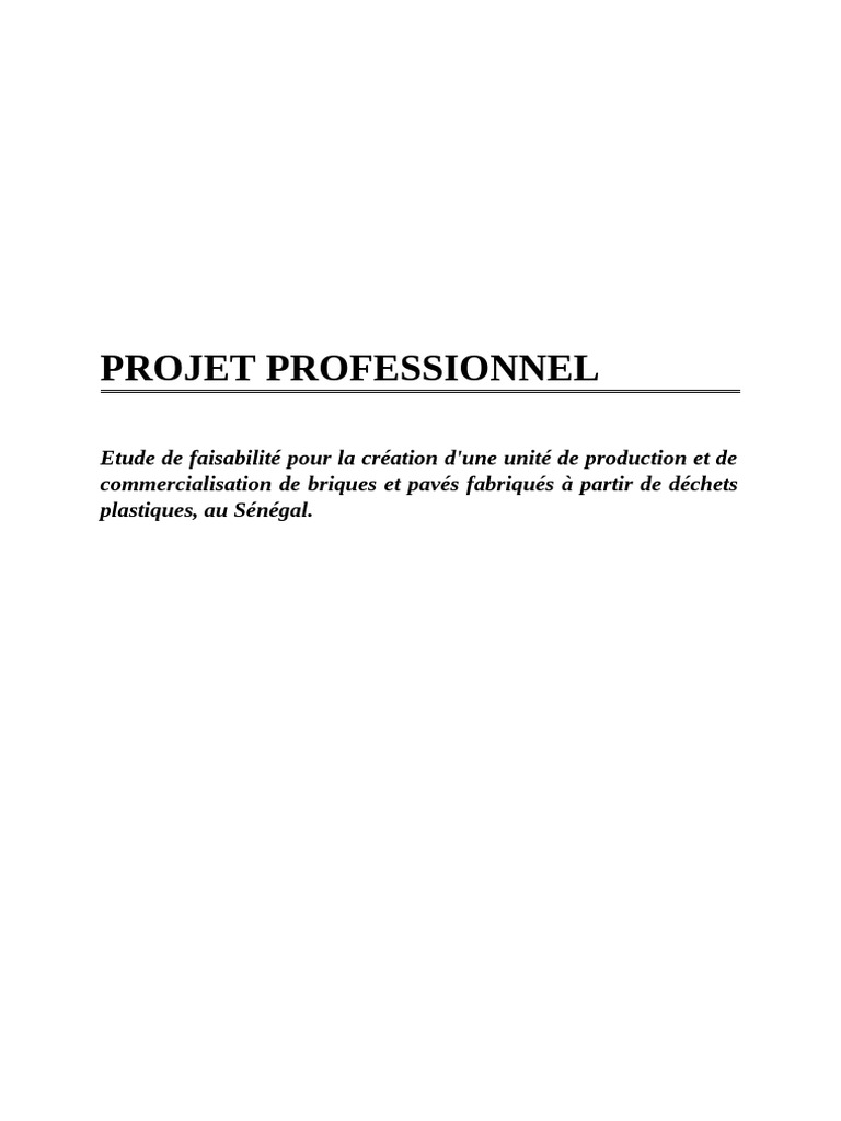 Mémoire - Projet Professionnel | PDF