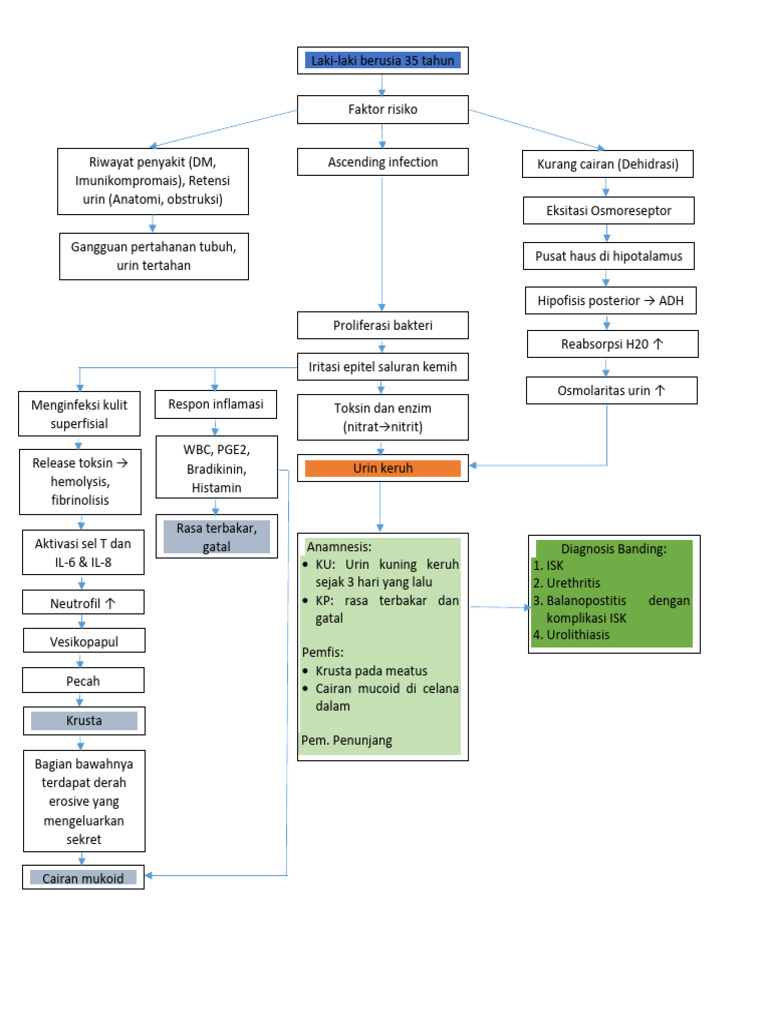 Patof PBL Uro Sken 2 Modul Urin Keruh | PDF