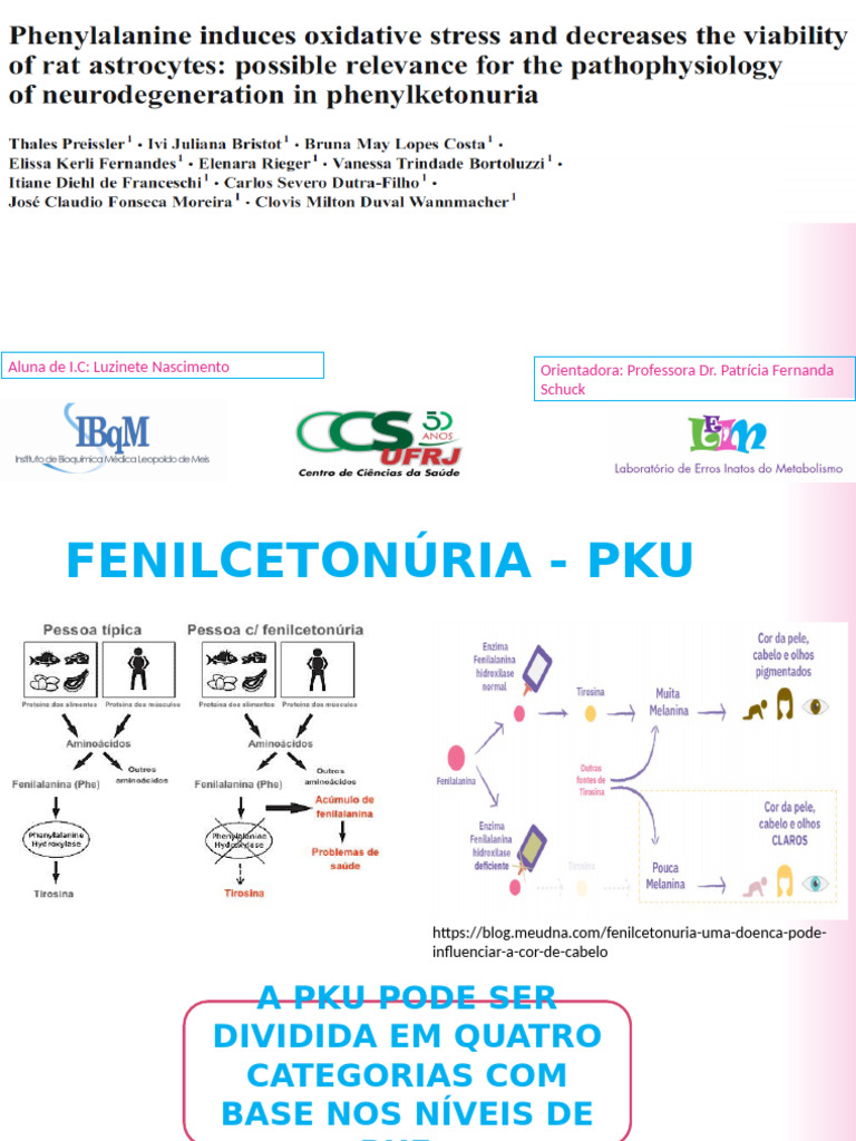 Seminario Pku Oficial | PDF