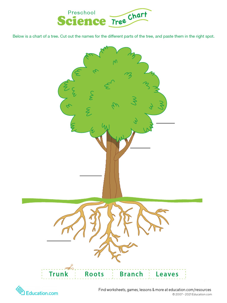 Worksheet Test-Tree-Knowledge | PDF