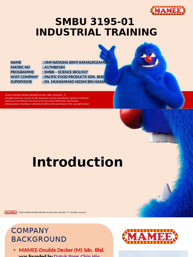 Smbu 3195-01 Presentation | PDF