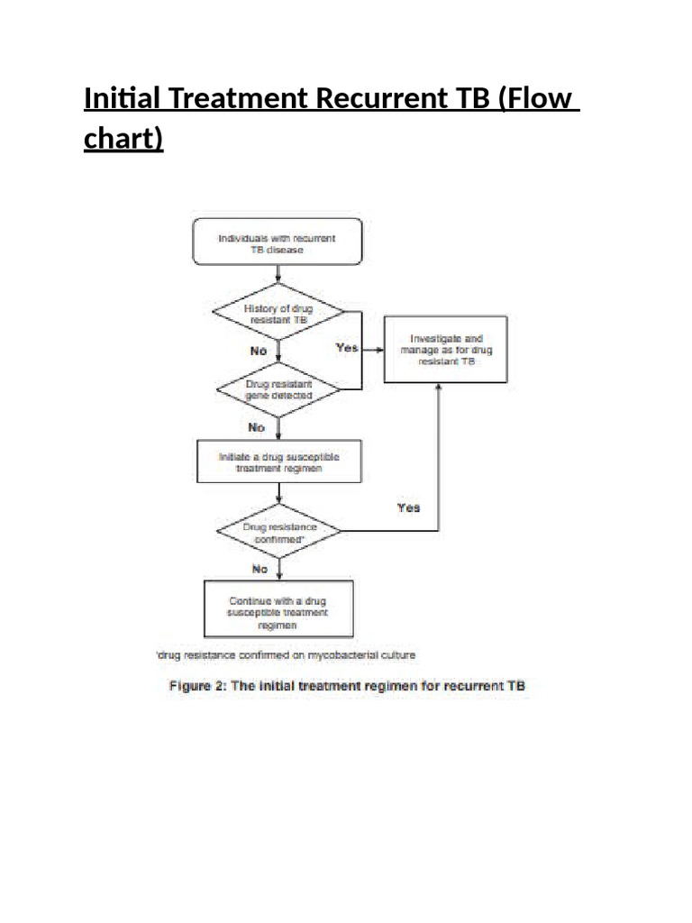 Flowchart for Initial Recurrent TB Treatment | PDF
