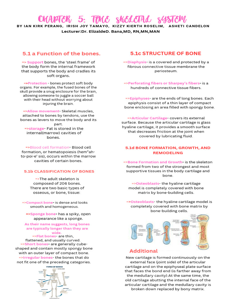 (TRANS) Chapter 5 The Skeletal System (Section R) | PDF | Vertebra ...