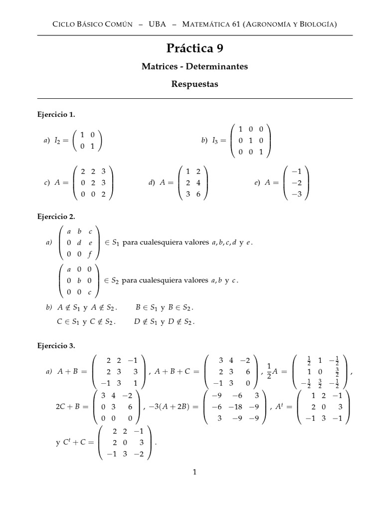 Practica 9 - Resolucion | PDF