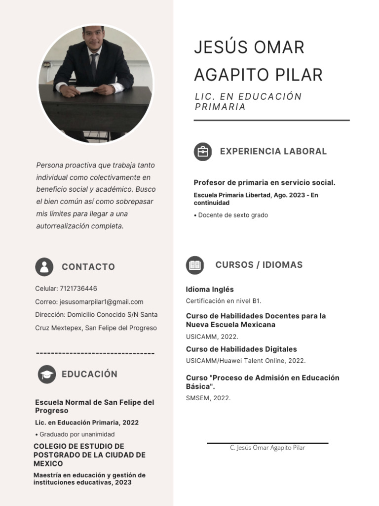 Curriculum Vitae Mujer Moderno y Profesional Con Iconos Gris y Blanco | PDF Curriculum Vitae Mujer Moderno y Profesional Con Iconos Gris y Blanco | PDF