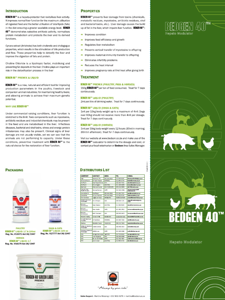 Bedgen 40 | PDF
