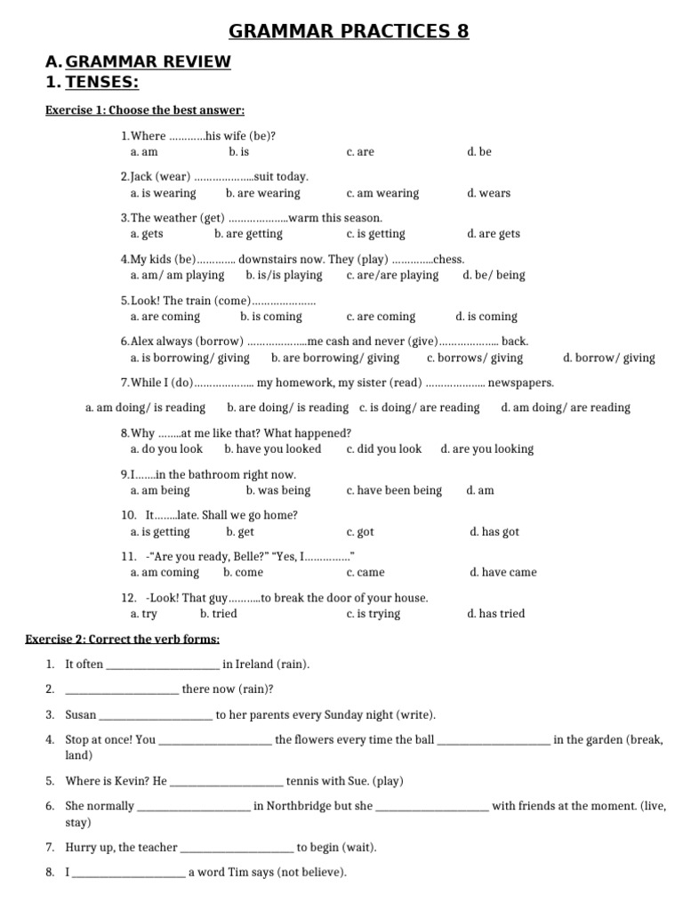 Grammar Practices 8 | PDF